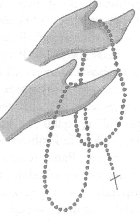 Specjaliści od Różańca : Parafia pw. Najświętszego Serca Pana Jezusa